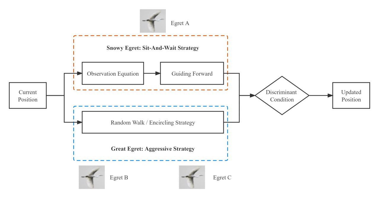 白鹭群优化算法(Egret Swarm Optimization Algorithm)-CSDN博客
