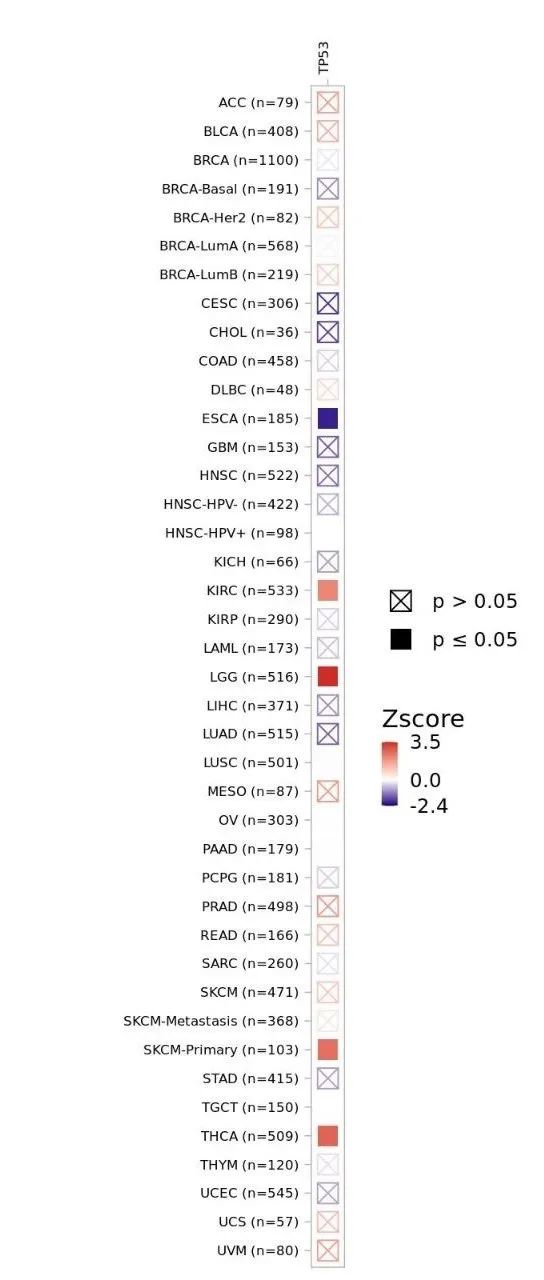 RNA 29. SCI文章中基于TCGA的免疫浸润细胞分析 (TIMER2.0)-CSDN博客