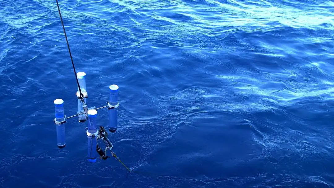 ISME：表层蓝藻下沉至1000米深海固氮-CSDN博客