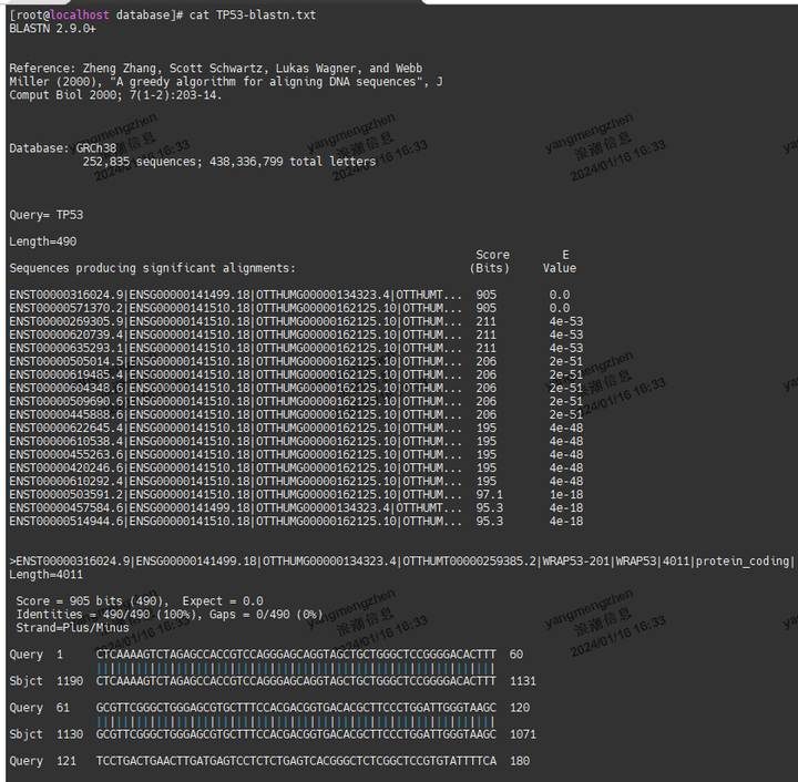 KeyarchOS适配BLAST-CSDN博客