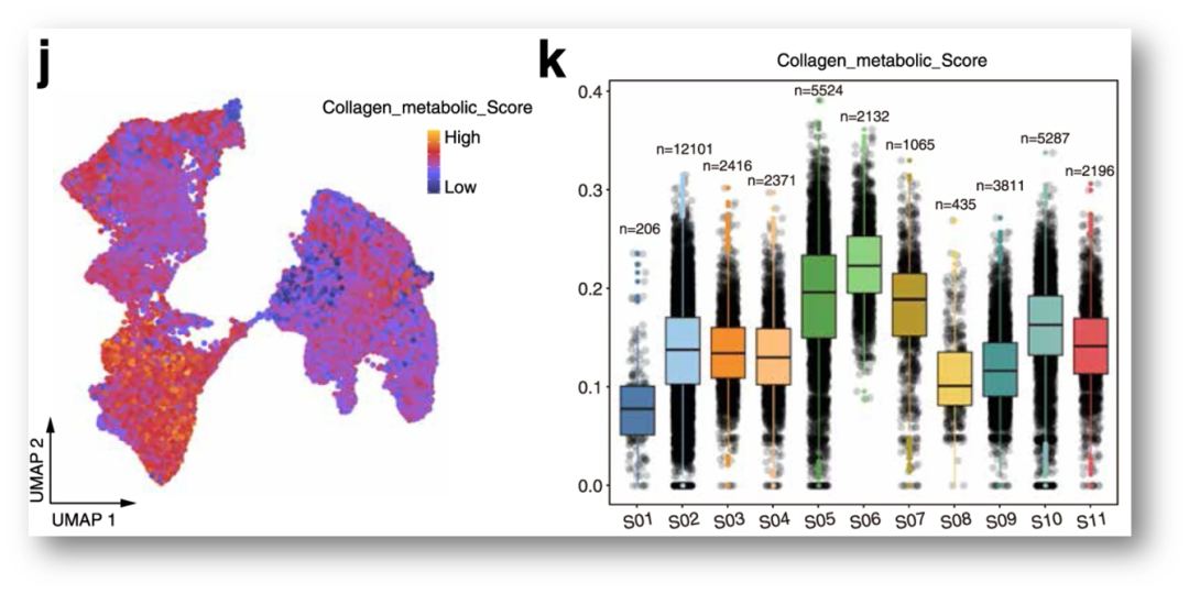 UCell:单细胞评分分析R包及可视化应用_ucell r语言-CSDN博客