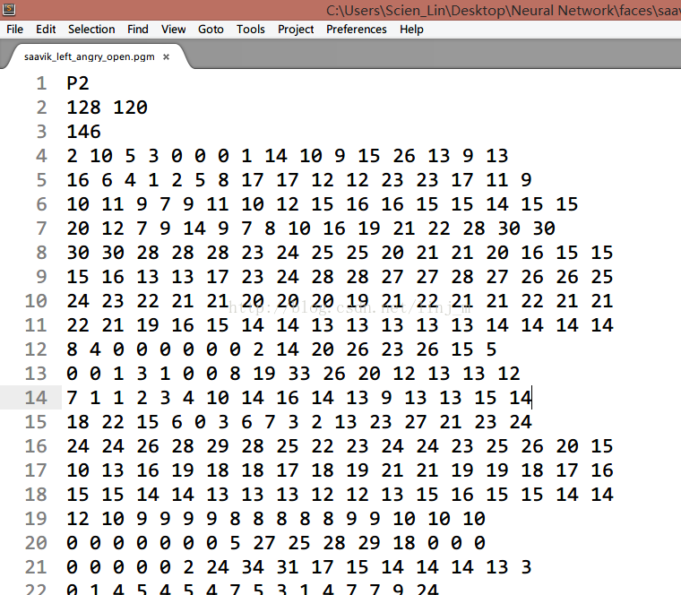 pgm图像修改java_PGM图片格式与代码-CSDN博客