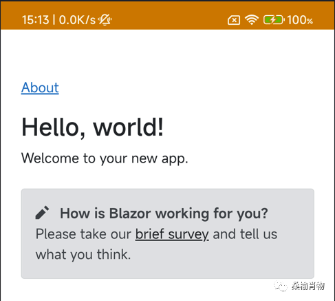 .NET MAUI 安卓 UI 资源设置-CSDN博客