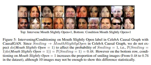 CausalGAN：通过对抗训练学习因果隐式生成模型_causalgan: learning causal implicit generative mod-CSDN博客