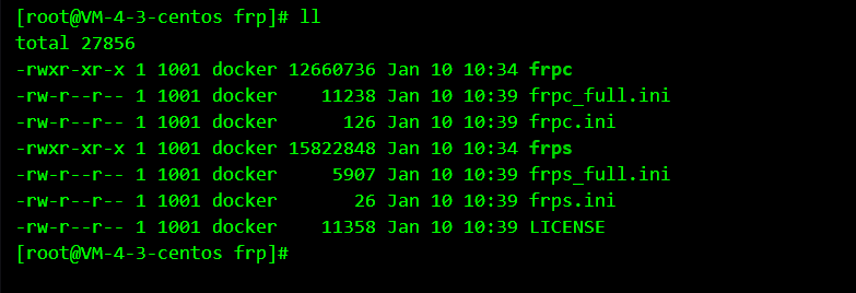 linux安装以及配置frp_linux 安装frp-CSDN博客