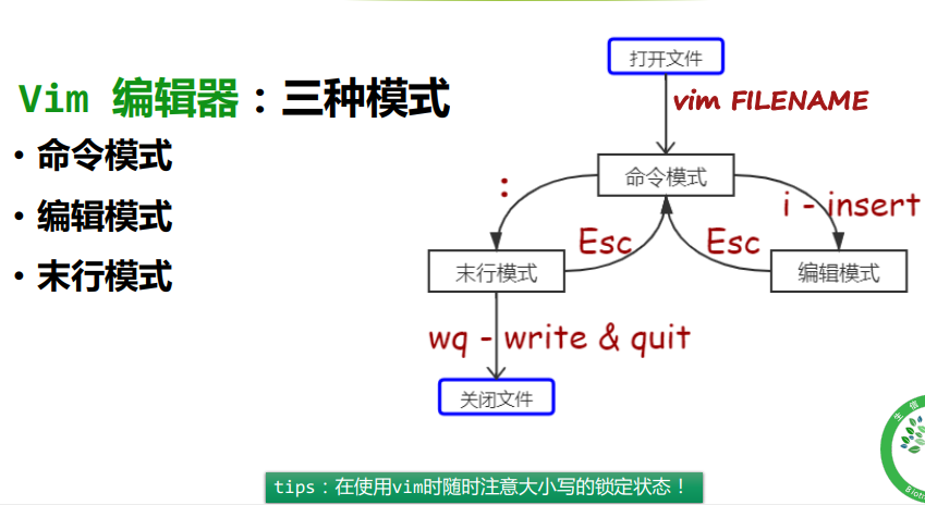 Linux进阶 Vim Grep Sed Awk 正则表达式vim Awk Csdn博客