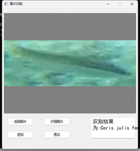 基于python-cnn卷积神经网络的鱼类识别-CSDN博客