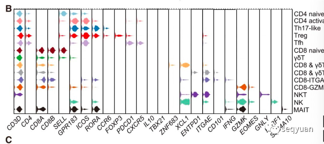 函数实现_R函数实现单细胞StackedVlnPlot-CSDN博客