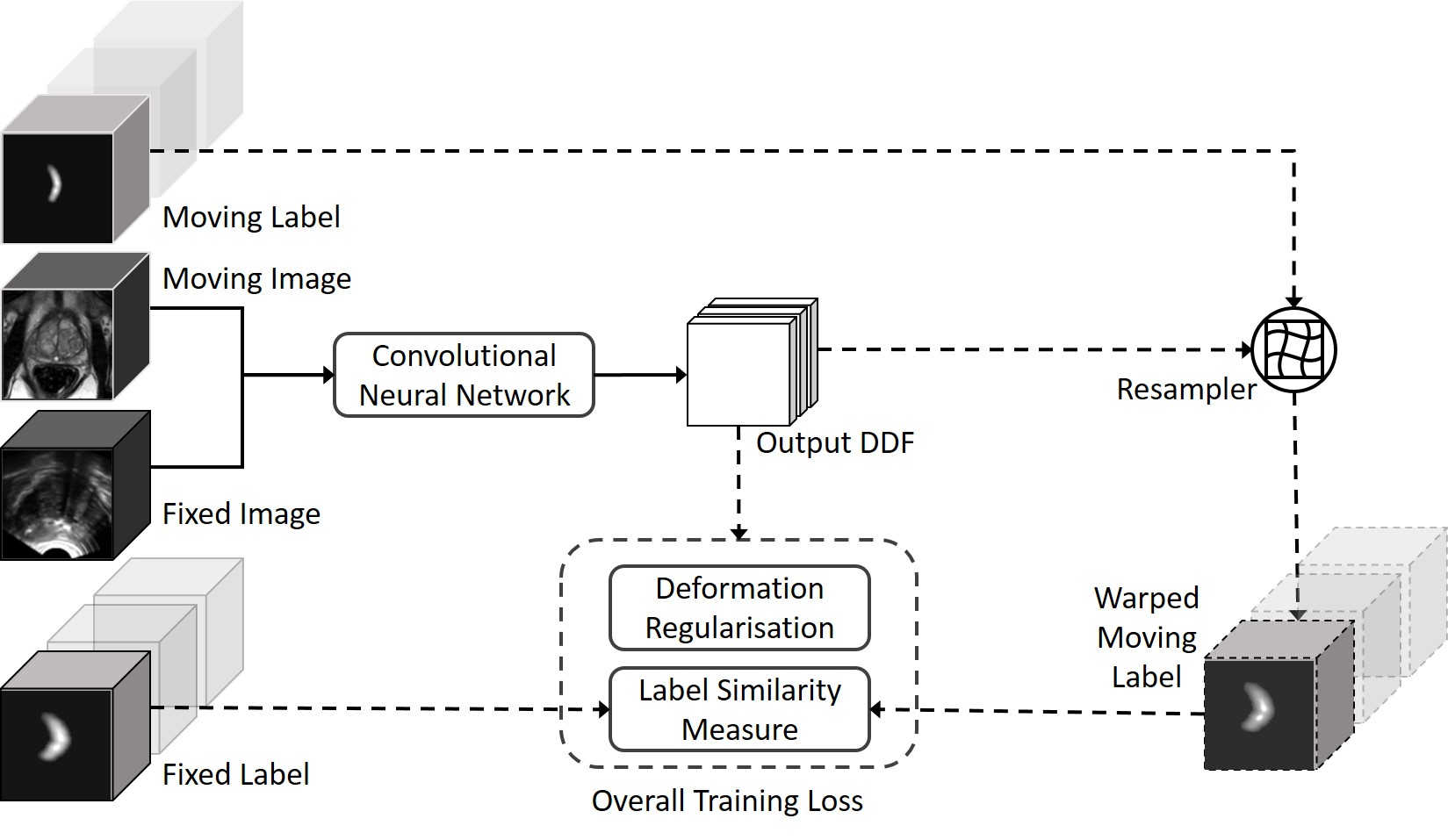 【论文精读】Label-driven Weakly-supervised DLIR_label-driven weakly-supervised learning for multim-CSDN博客