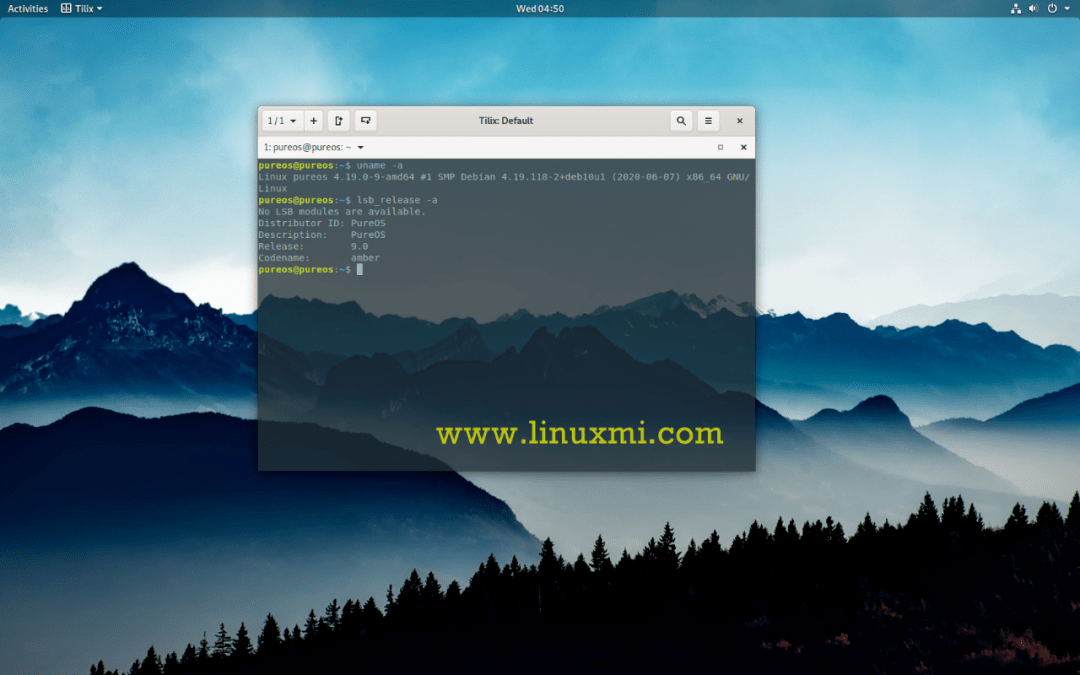 linux的debin版本,8个最佳的基于Debian的Linux发行版_HylaruCoder的博客-CSDN博客
