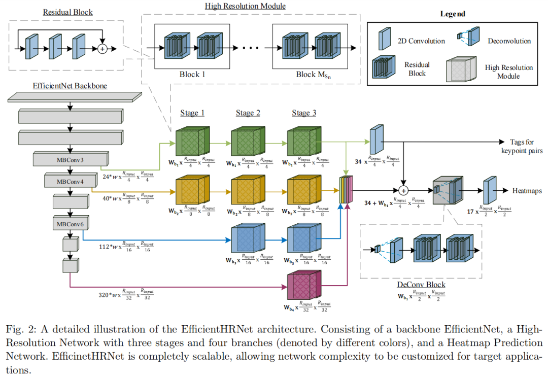 实时人体姿态估计！Efficient-HRNet：更快！更强！！-CSDN博客