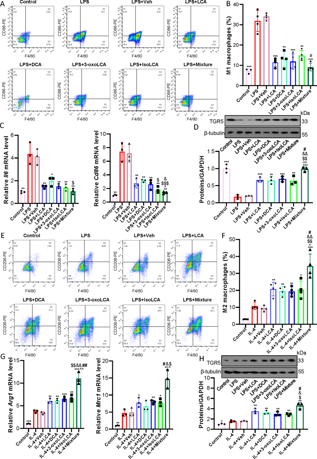 Gut：中国药科大学周伟等团队在肠道菌群驱动风湿性关节炎机制研究和中药干预方面取得新进展...-CSDN博客