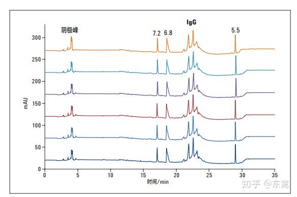 CIEF（毛细管电泳）实验-CSDN博客