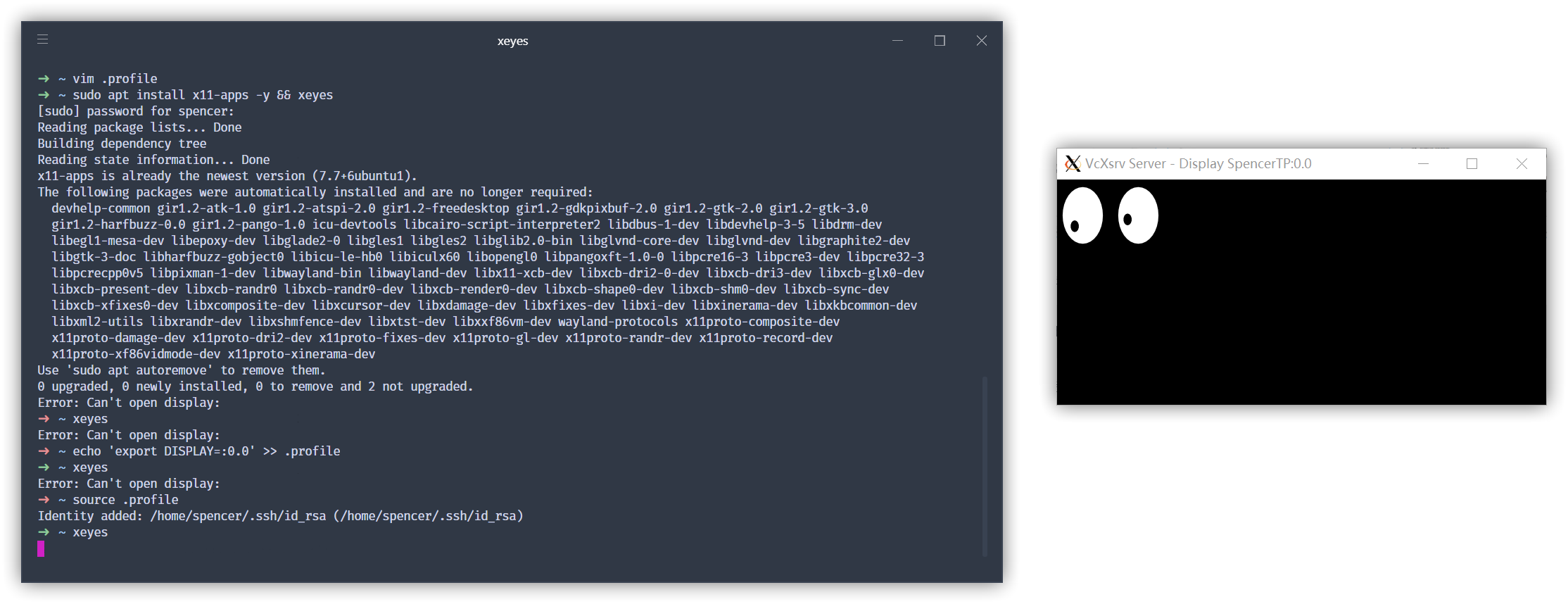 WSL图形化_x server for windows-CSDN博客