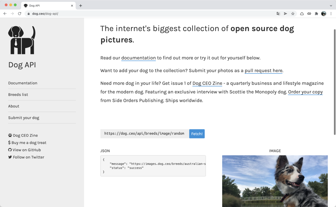 分享两个超牛的开源API项目，程序员需要的免费API都在这里了！_dog api-CSDN博客