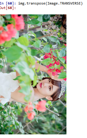 Python-图像处理库PIL图像变换transpose和transforms函数-CSDN博客