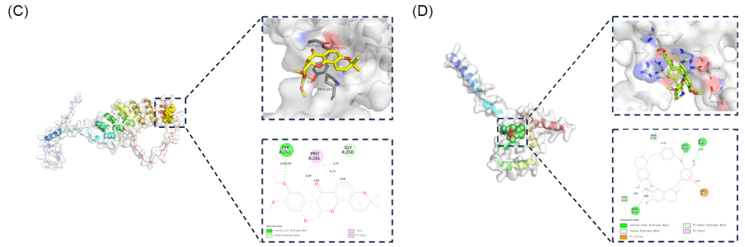 iMetaOmics | 中南大学夏晓波团队揭示青光眼和SLE发病机制新关联-CSDN博客