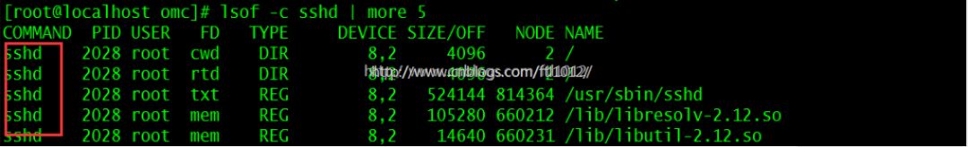 Linux lsof命令详解-CSDN博客