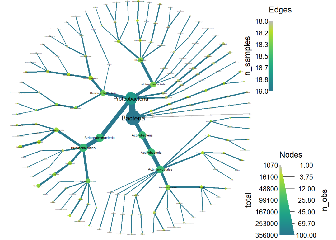 metacoder-相关进化树图的绘制于实践-CSDN博客
