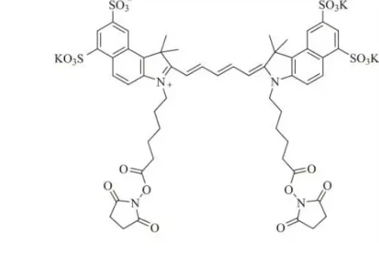 Sulfo-Cyanine5.5 bis-SE，Sulfo-Cy5.5 bis-SE，常被用来标记细胞膜表面的蛋白-CSDN博客