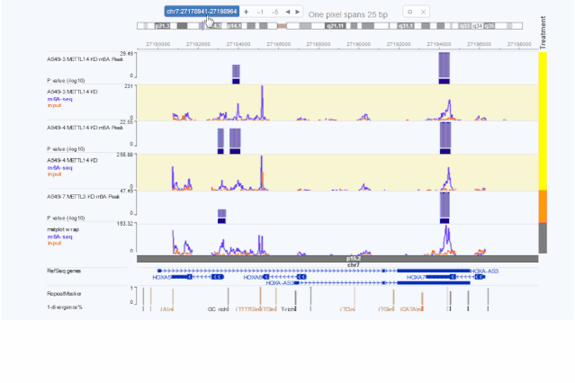 4 篇 NAR | 生物大数据时代，如何做好数据管理和再利用，发IF10+的数据库文章？...-CSDN博客