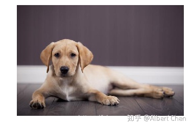 imagenet分类_百度AI攻略：Paddlehub实现图像分类-CSDN博客