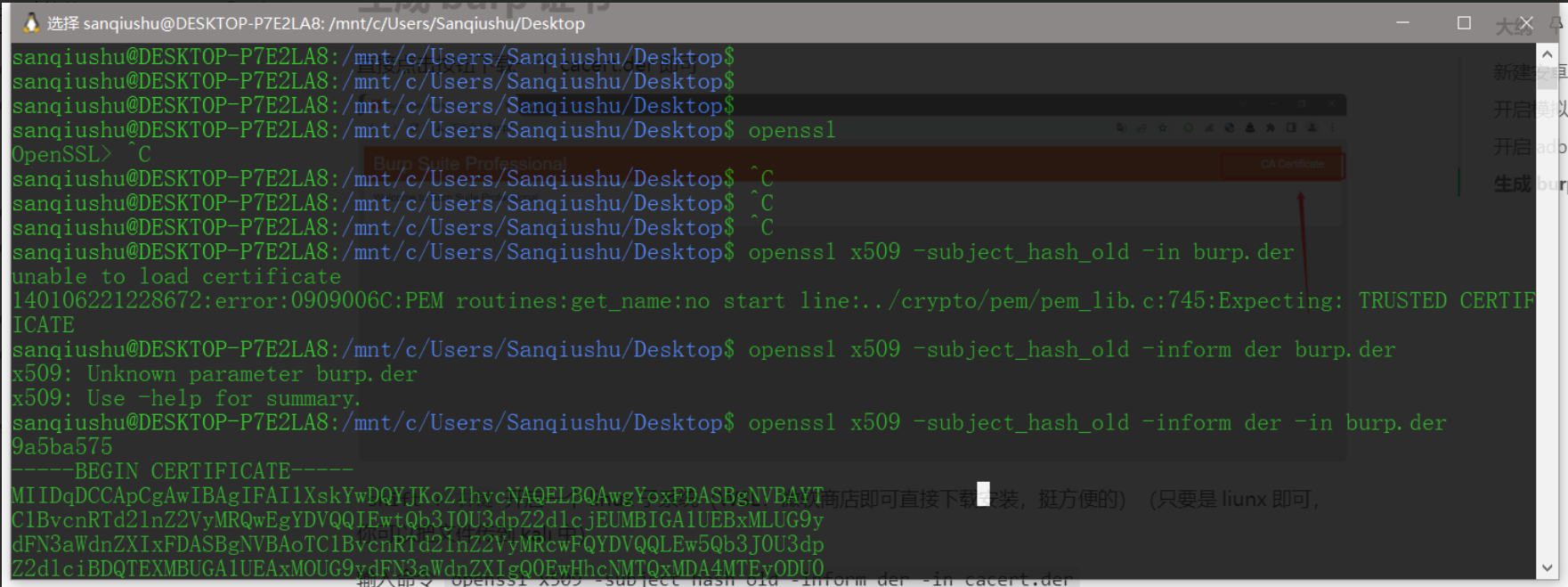 APP 抓包 | 支付宝小程序抓包-CSDN博客