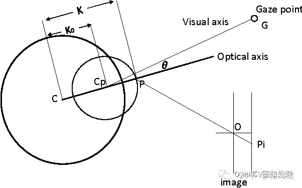 Gaze vector介绍_注视 gaze 注视 pitch yaw-CSDN博客