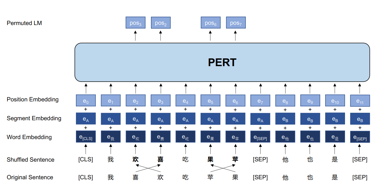 PERT：一种基于乱序语言模型的预训练模型_pert模型-CSDN博客