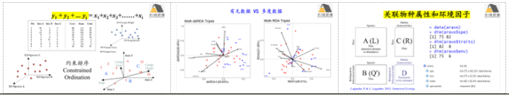 R语言生物群落（生态）数据统计分析与绘图（从数据整理到分析结果展示）微生物组学分析r语言 Csdn博客