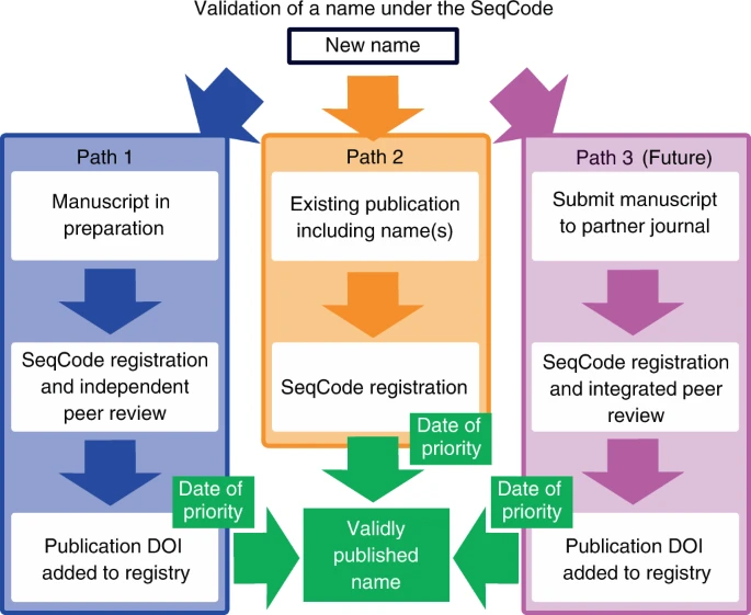 Nature Microbiology | SeqCode：基于序列数据描述的原核生物命名规则-CSDN博客