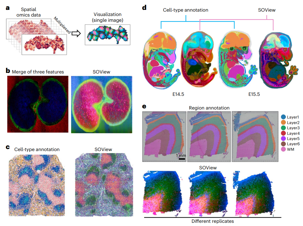 Nature Methods | 空间组学数据库推荐：SODB-CSDN博客