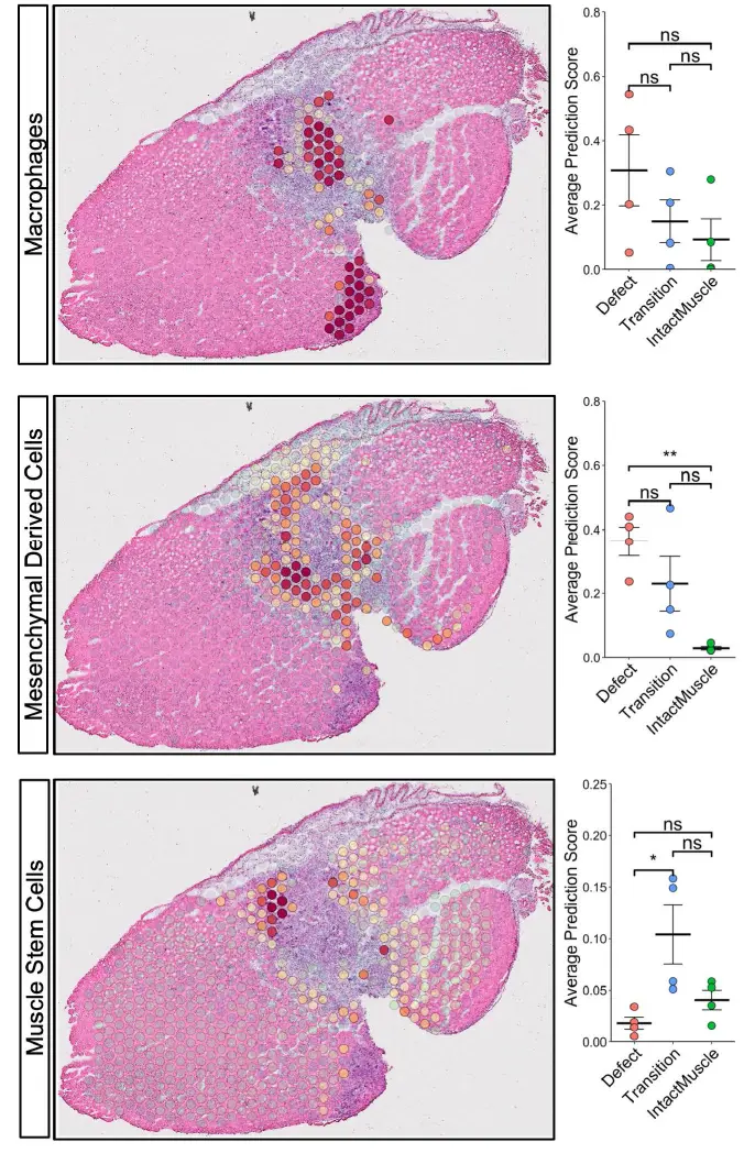 10X空间转录组之绘图小细节分享_空间转录组 featureplot-CSDN博客