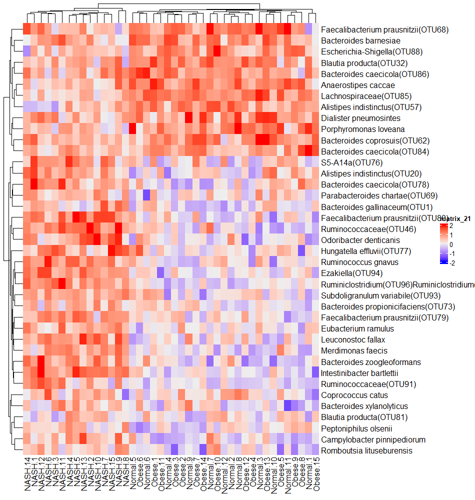 跟着iMeta学做图｜ComplexHeatmap包绘制热图展示不同样本物种相对丰度-CSDN博客