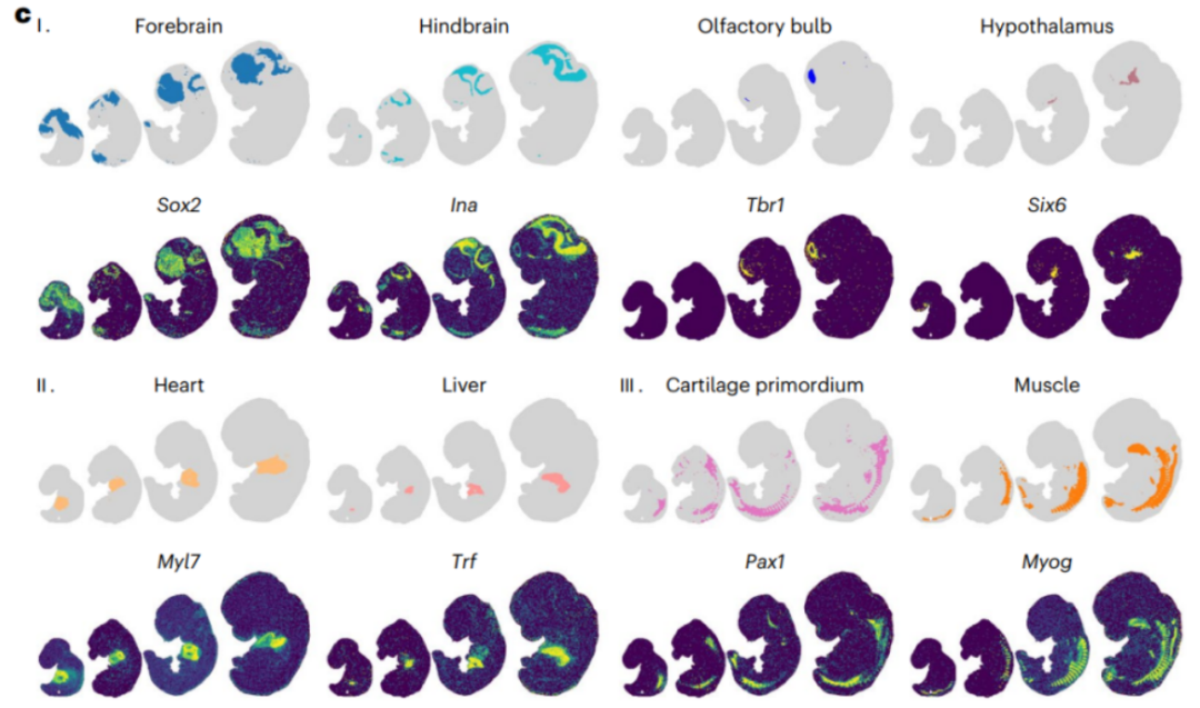 Nat Comput Sci｜张世华课题组开发生物组织多切片空间转录组数据整合新工具-STAligner...-CSDN博客