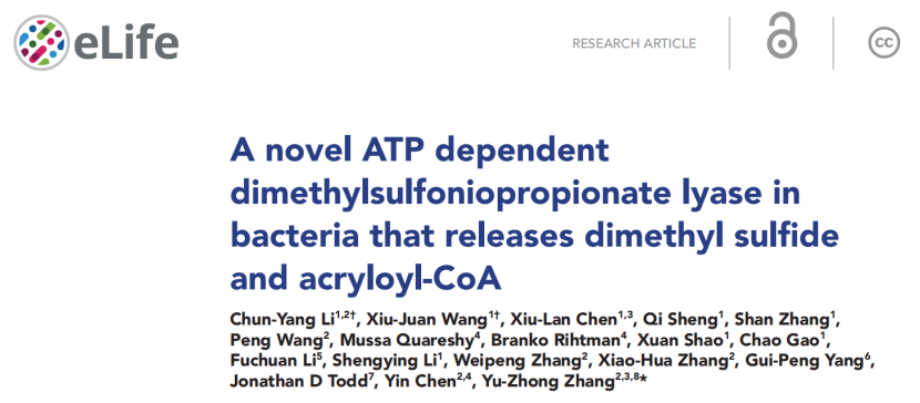 Elife|细菌完成图+原核转录组发现硫循环新型裂解酶_now,dddx,,,,,,,,,,,,,,,,,,,,,,,,,,,,,,,,,,,,,xrdt-CSDN博客