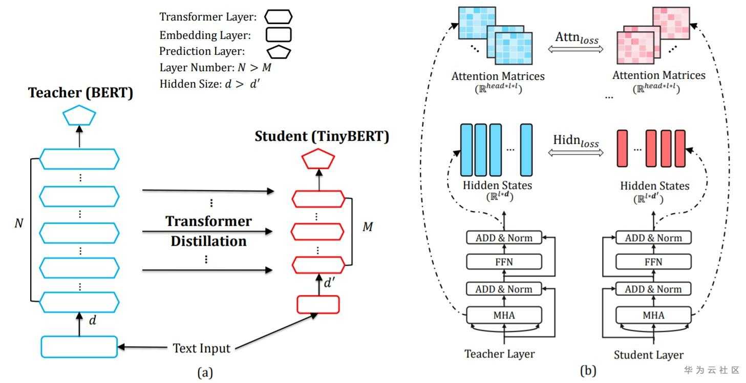 模型蒸馏探索(Bert)_模型蒸馏是什么意思_一个好梦的博客-CSDN博客