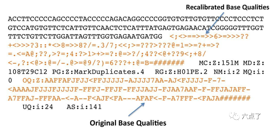 一文详解BQSR-碱基质量矫正原理和实战_bqsr是_JaneMarple️的博客-CSDN博客