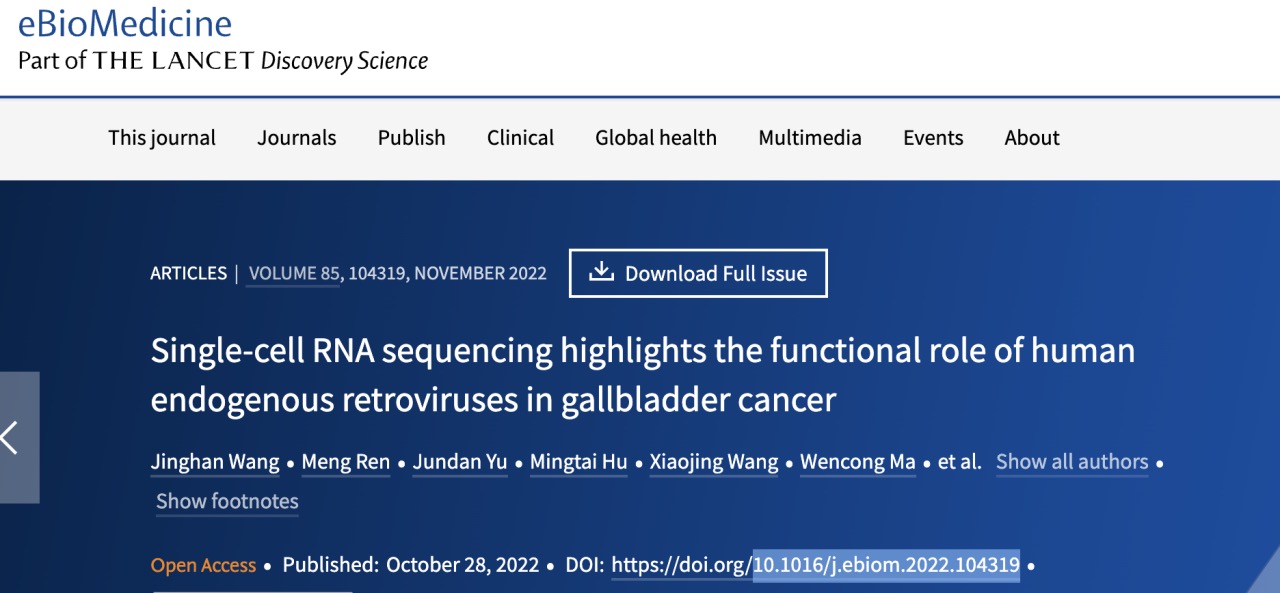 真核细胞中的病毒基因——内源性逆转录病毒 生信工具总结 祖先留下的血源诅咒？_herv 逆转录转座子-CSDN博客