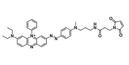BHQ3 Maleimide，BHQ3 马来酰亚胺，BHQ可以用于荧光显微镜的成像-CSDN博客