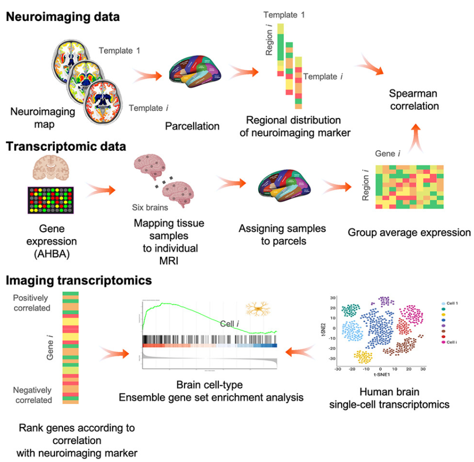 一批PET map来袭-CSDN博客