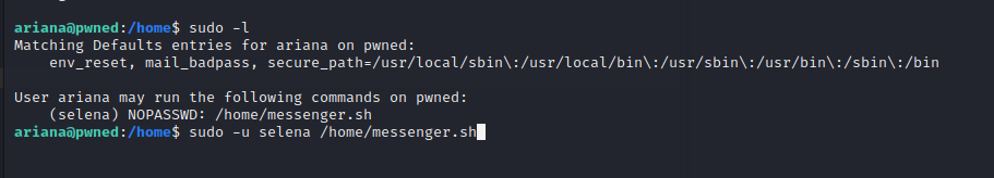 Pwned靶场详解_pwned靶机-CSDN博客