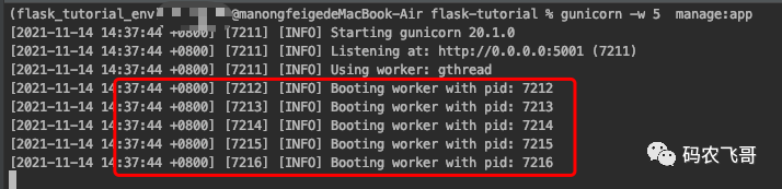 Gunicorn的使用手册看这篇就够了_gunicorn worker设置-CSDN博客