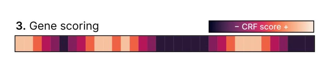 Nature Biotechnology | 使用geNomad识别移动遗传元素-CSDN博客