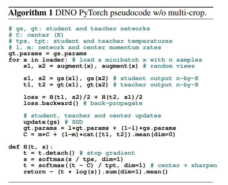 DINO Emerging Properties in Self-Supervised Vision Transformers 论文阅读-CSDN博客