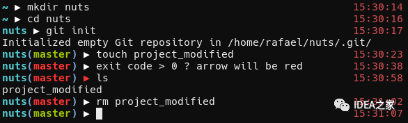 Ohmyzsh主题推荐安装oh My Zsh 译 Csdn博客