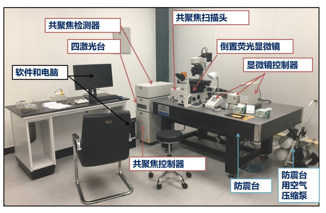共聚焦图片怎么加标尺_单光子共聚焦显微镜操作流程及细节梳理-CSDN博客