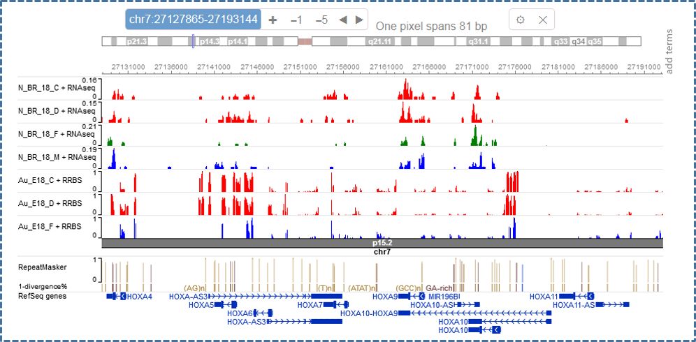 4 篇 NAR | 生物大数据时代，如何做好数据管理和再利用，发IF10+的数据库文章？...-CSDN博客