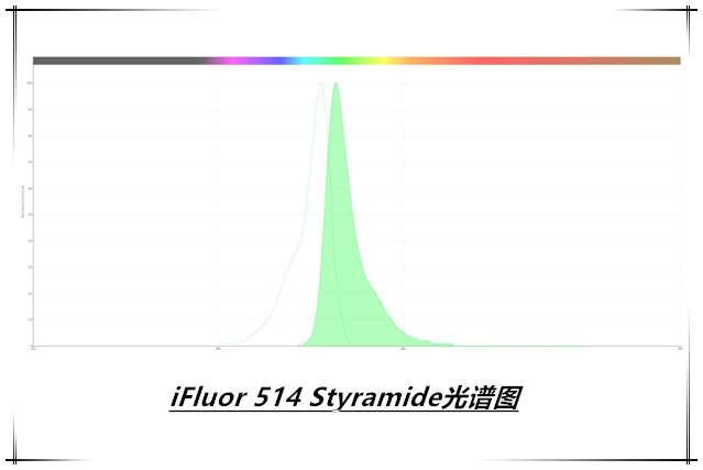 iFluor514Styramide，Opal540的替代品 100Slides，Styramide 缀合物能够以更高的效率标记目标-CSDN博客